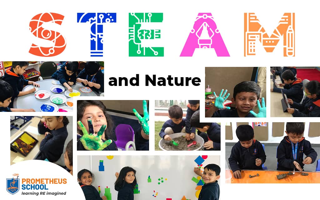 Correlation between STEAM and nature