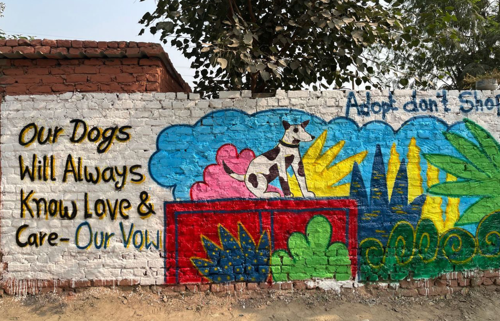 Prometheus Student’s Visionary Effort to Support Stray Dogs in Noida